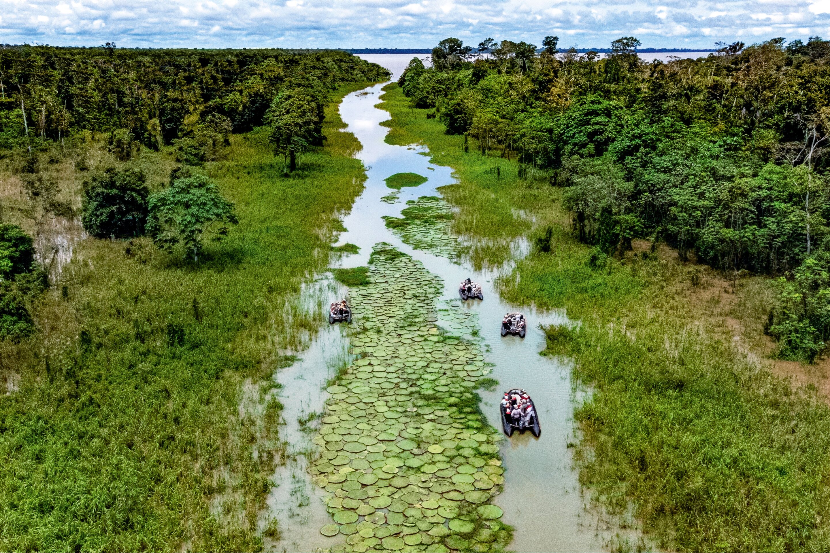 Wildlife in the Amazon | Hapag-Lloyd Cruises